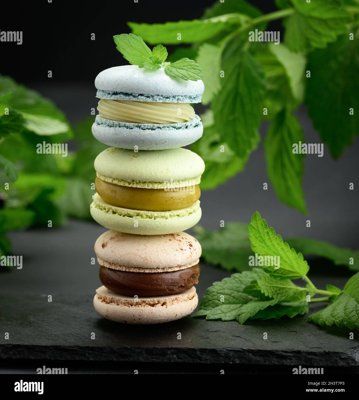 Stack of multi-colored macarons on a black background, behind green ...