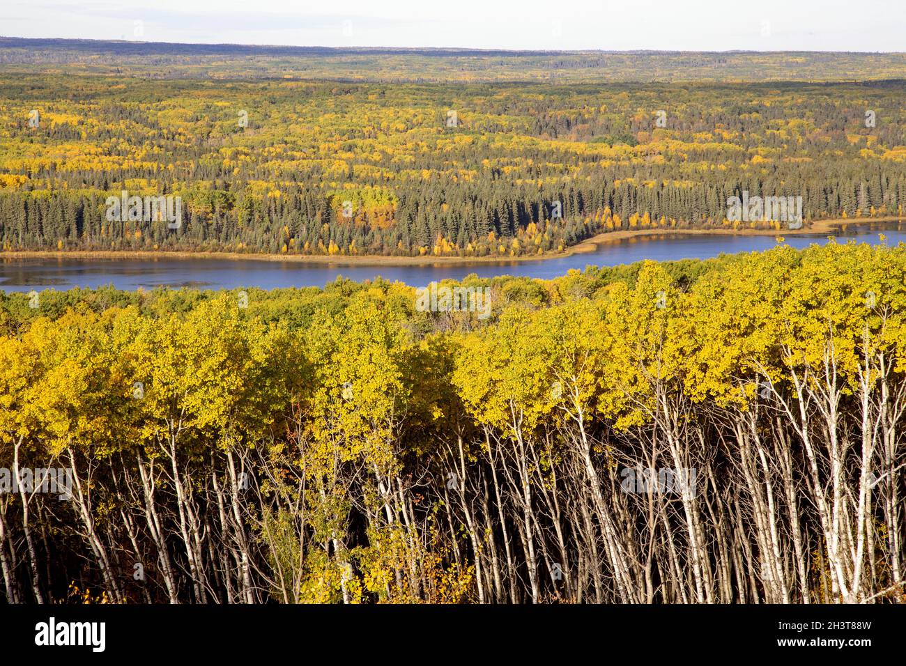 Boreal colors hi-res stock photography and images - Alamy
