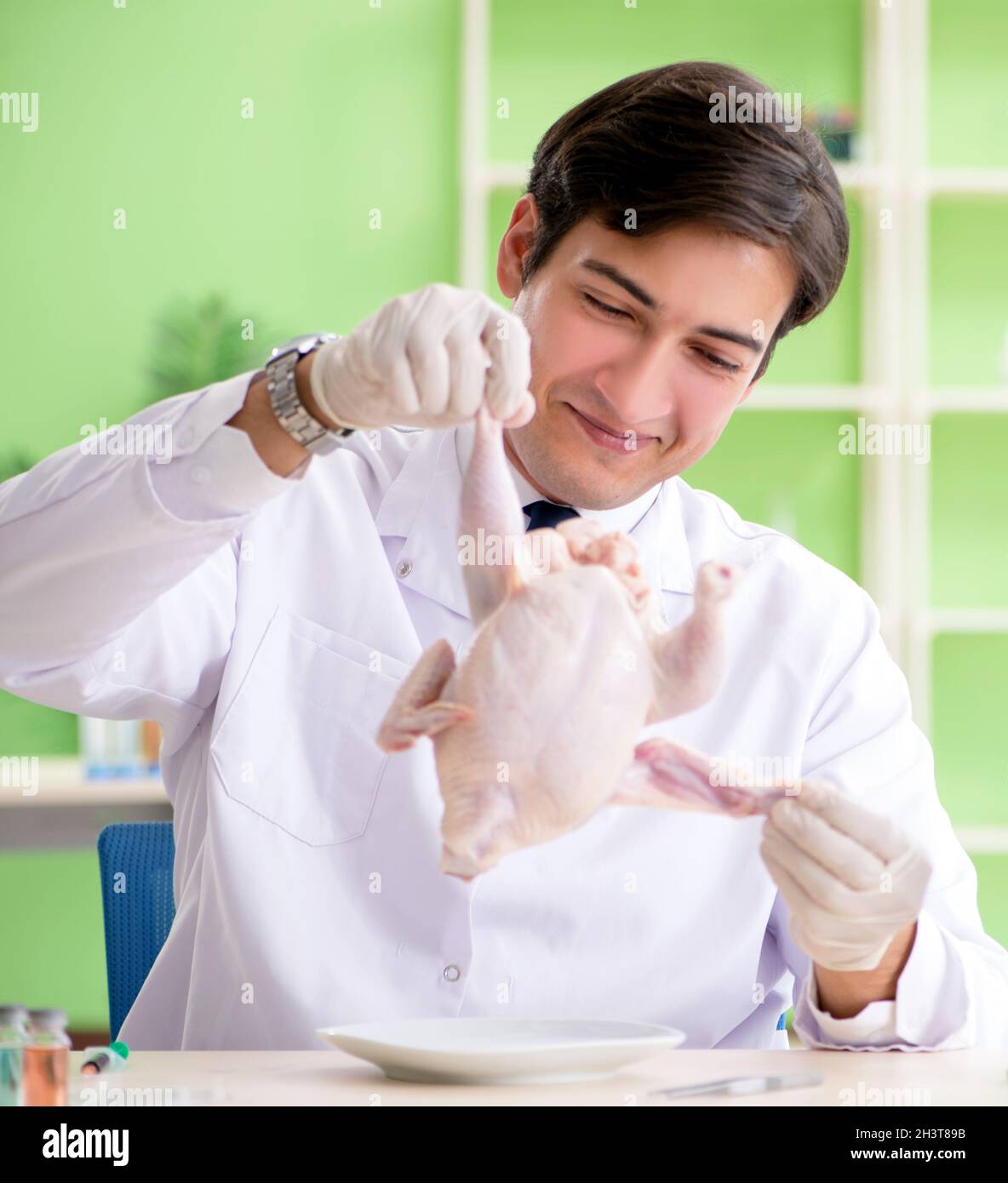 Lab assistant testing GMO chicken Stock Photo - Alamy