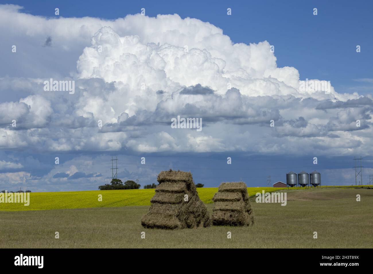Prairie crops hi-res stock photography and images - Alamy