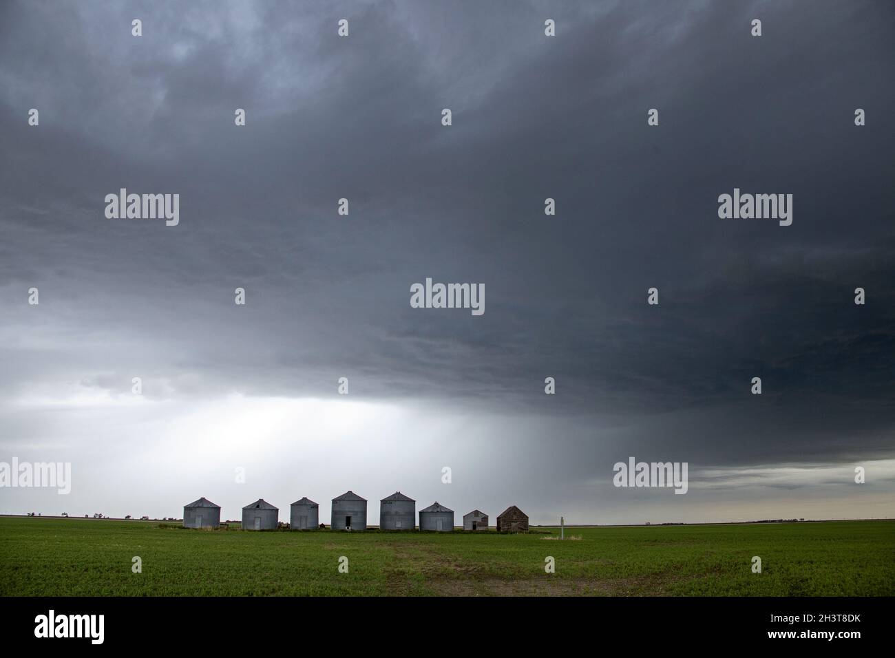 Prairie crops hi-res stock photography and images - Alamy