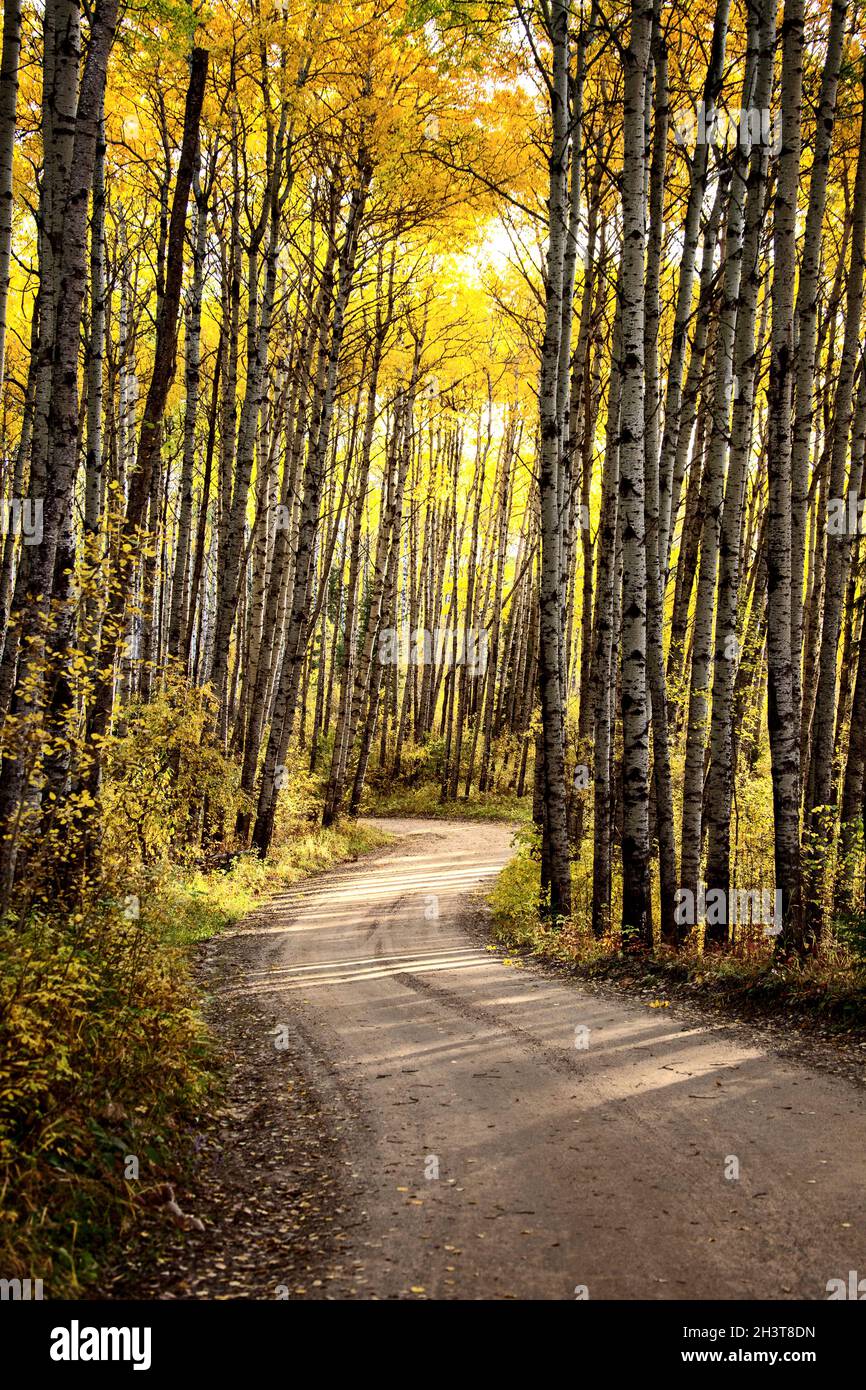 Northern saskatchewan hi-res stock photography and images - Alamy