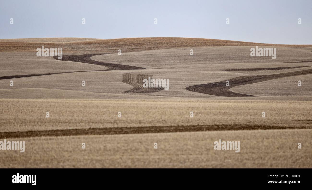 Design Field Saskatchewan Stock Photo - Alamy