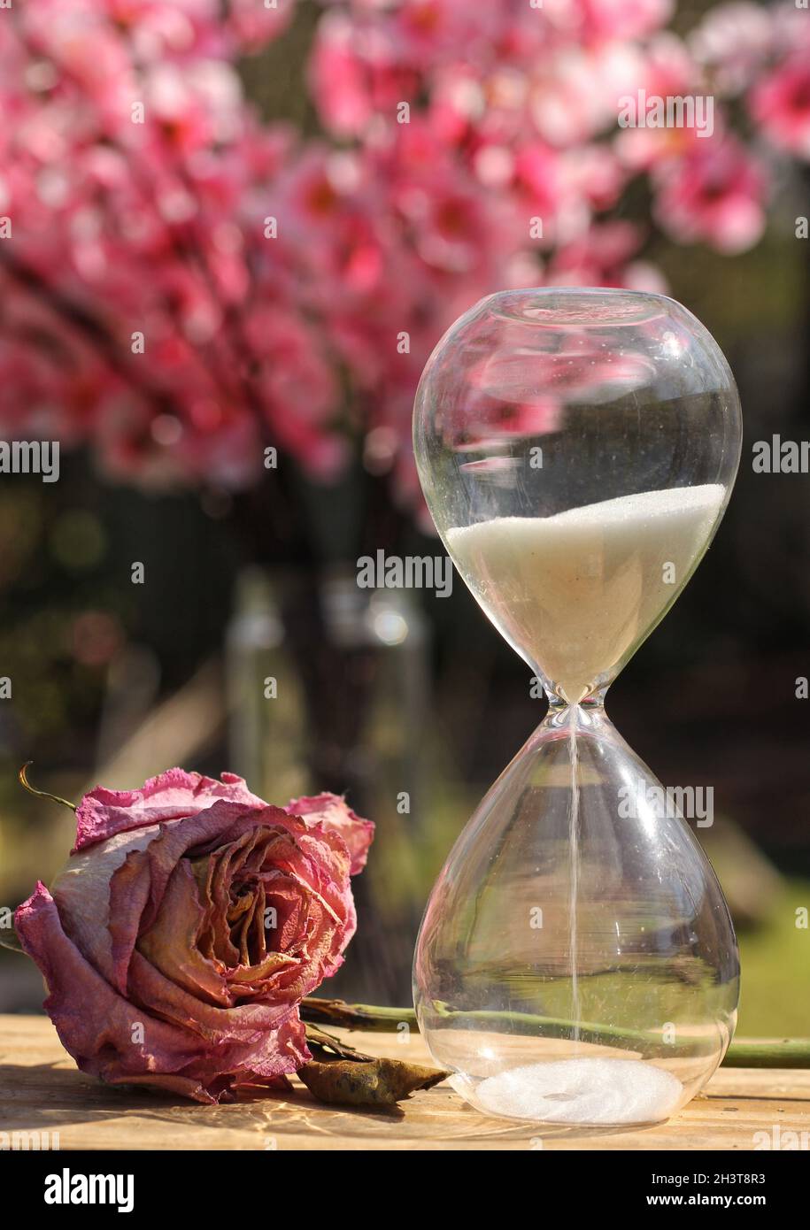 Rose and Hourglass Stock Photo - Alamy