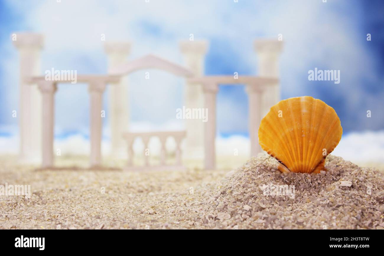 Sea surf seashell on beach hi-res stock photography and images - Alamy