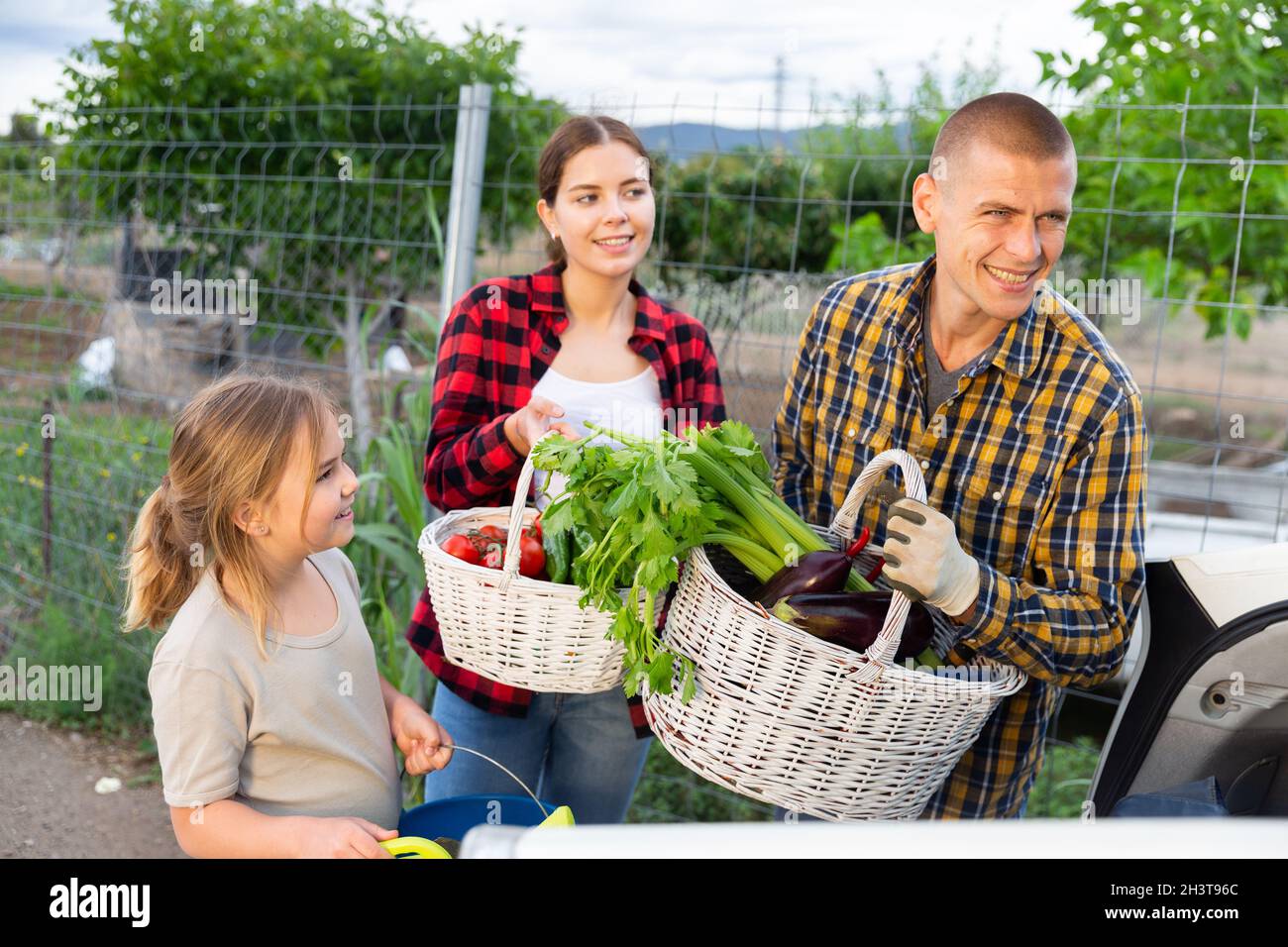 Family loading baskets of vegetables into trunk of a car Stock Photo ...