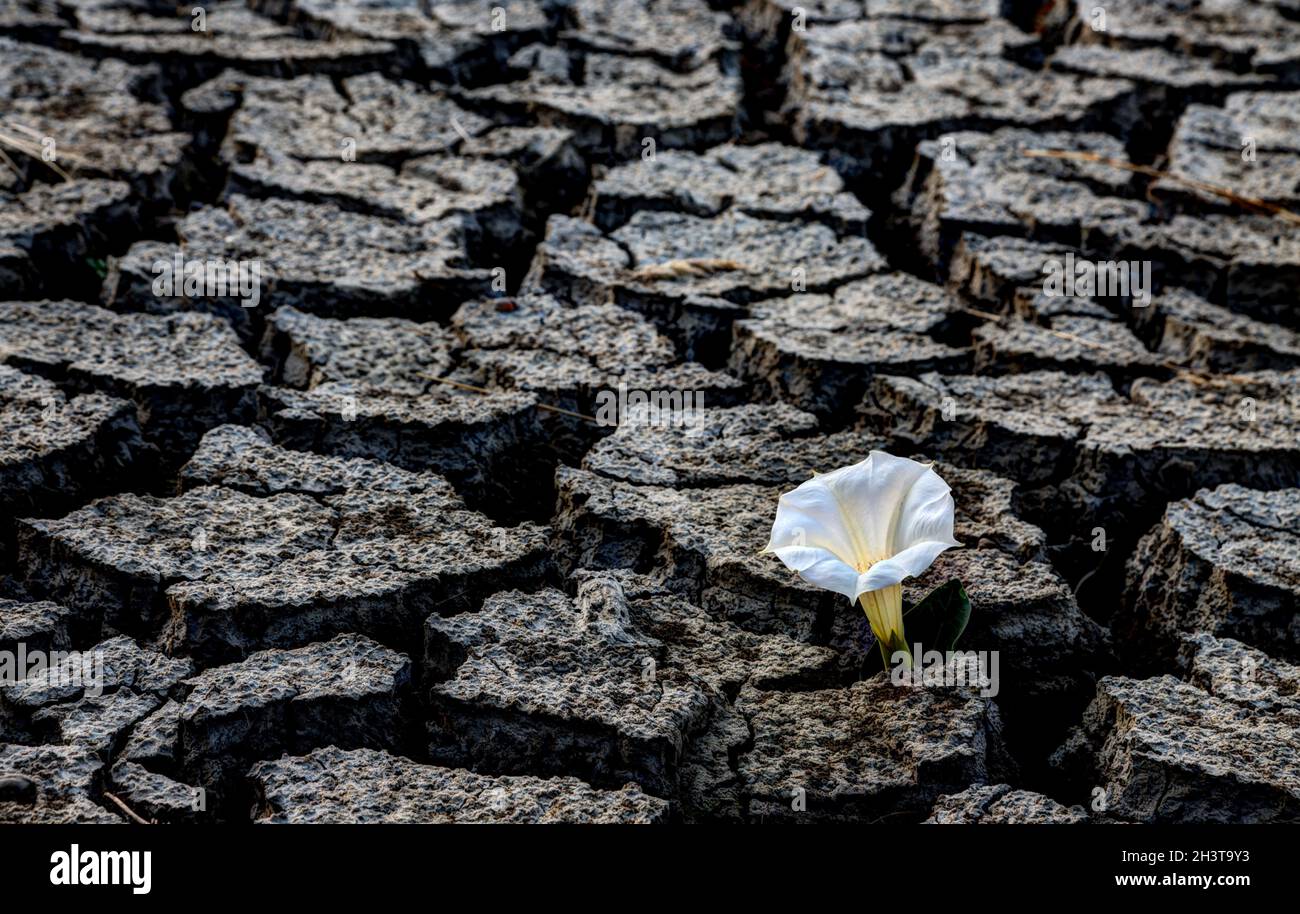 Dry canadian river bed hi-res stock photography and images - Alamy