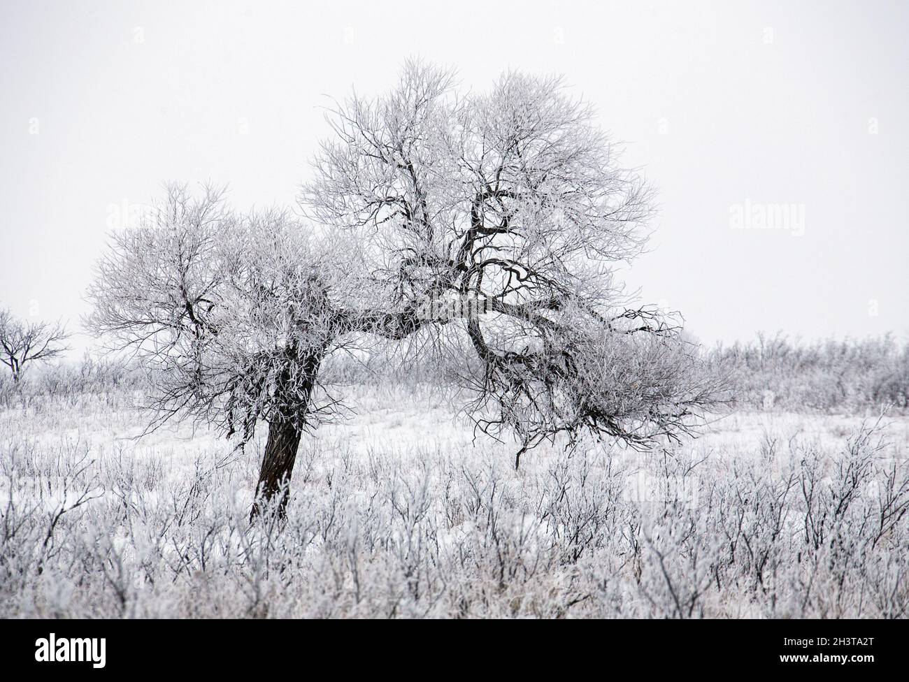 Beautiful scene beauty hi-res stock photography and images - Alamy