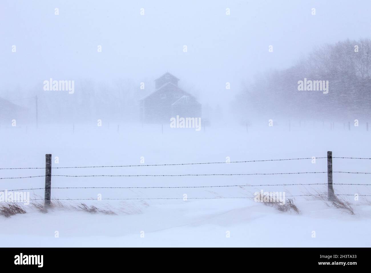 Rural scene with blizzard hi-res stock photography and images - Alamy