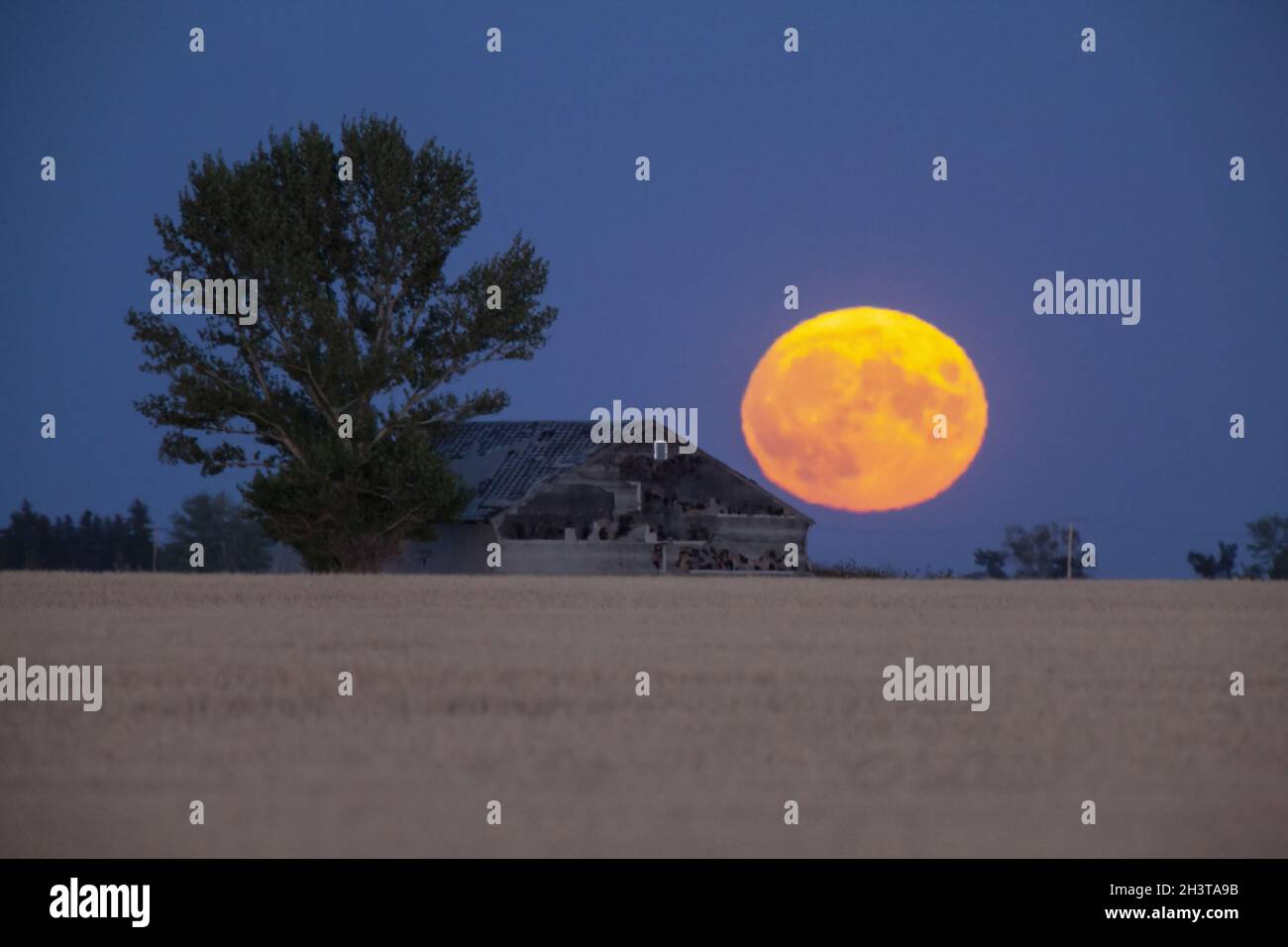 Prairie Moon High Resolution Stock Photography and Images - Alamy