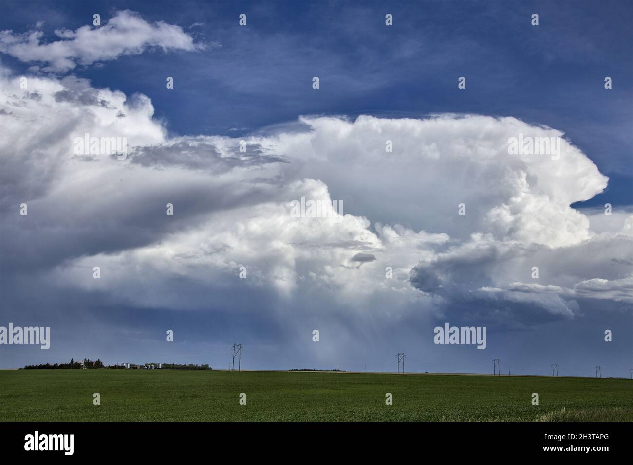 Prairie crops hi-res stock photography and images - Alamy