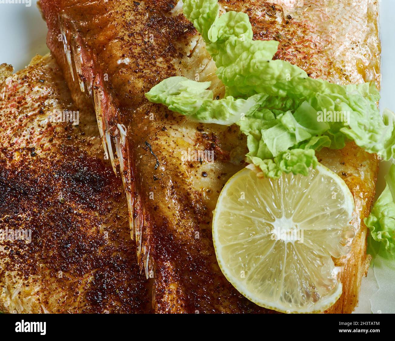 A pacu fish hi-res stock photography and images - Alamy