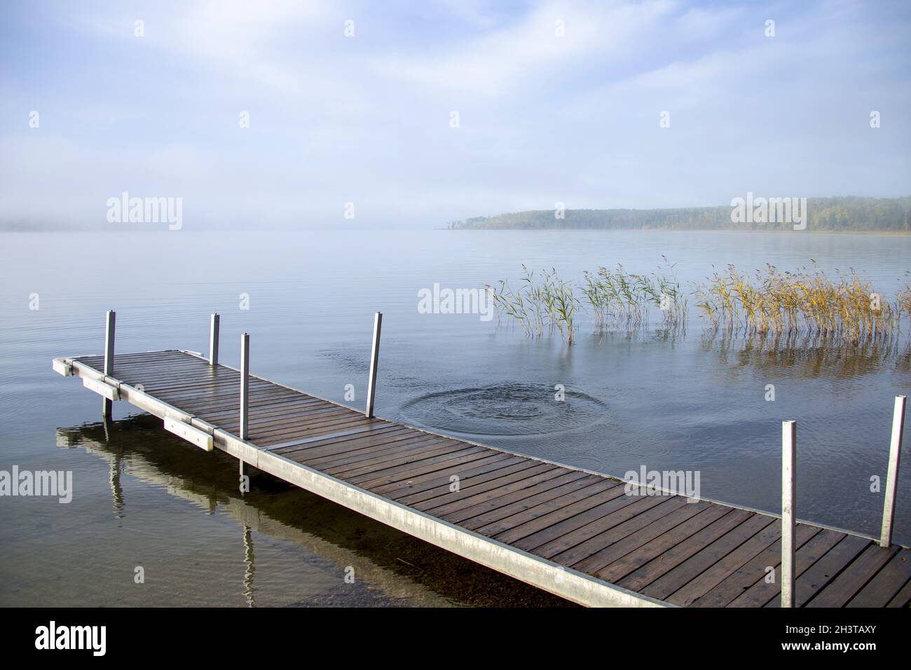 Northern dock hi-res stock photography and images - Alamy