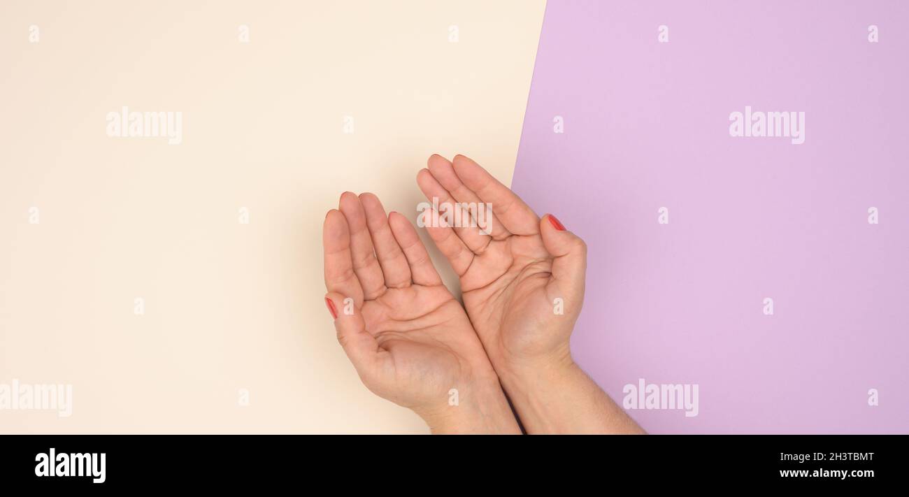 Two female hands folded palm to palm on a beige purple background Stock ...