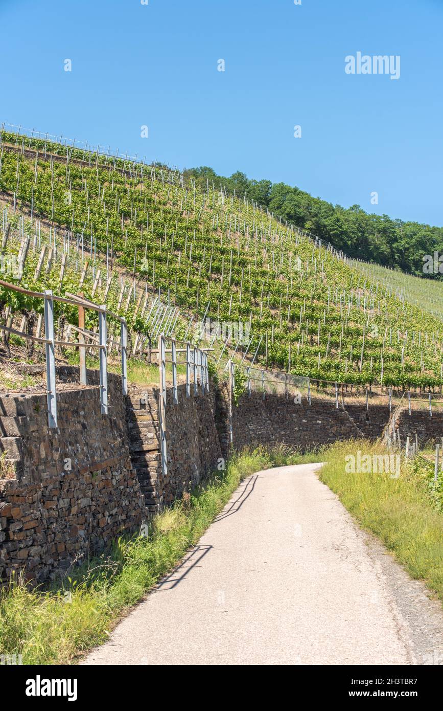 Rheinische slate mountains hi-res stock photography and images - Alamy