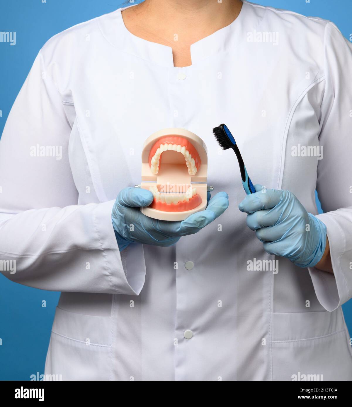 Adult teeth jaw human hi-res stock photography and images - Alamy