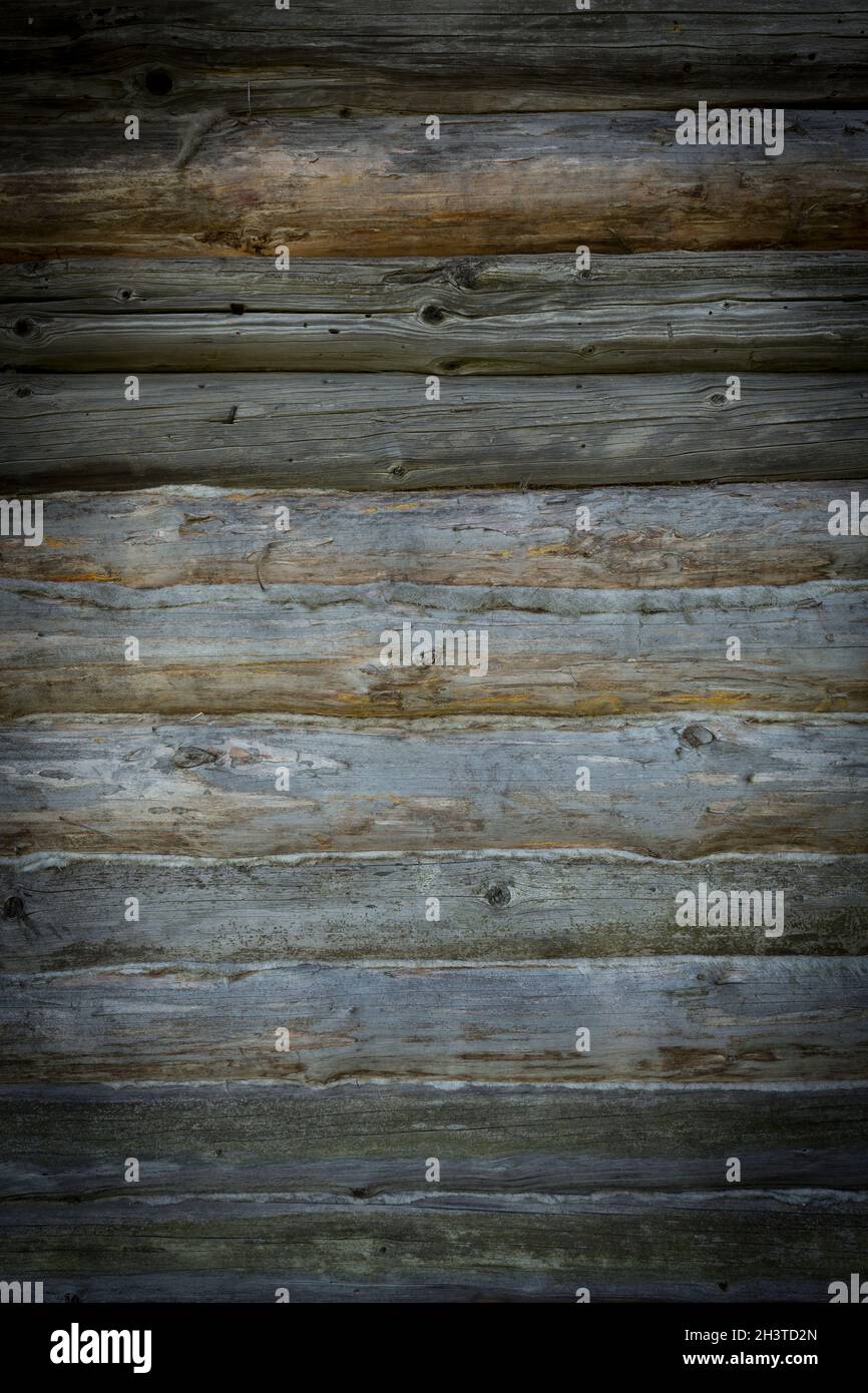 Wooden logs of an old house. Weathered natural gray wood texture ...