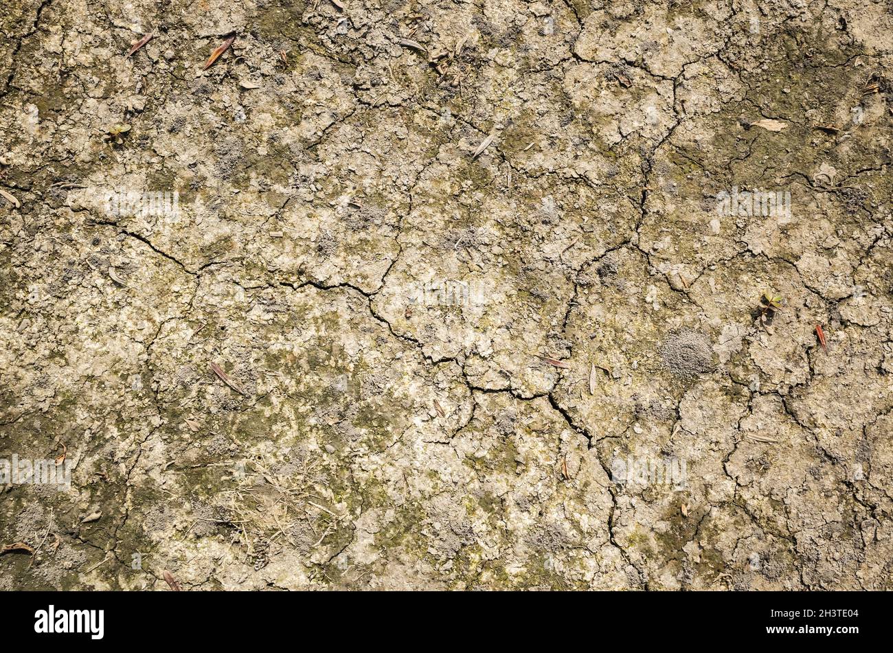 Concept background of nature dry Stock Photo - Alamy