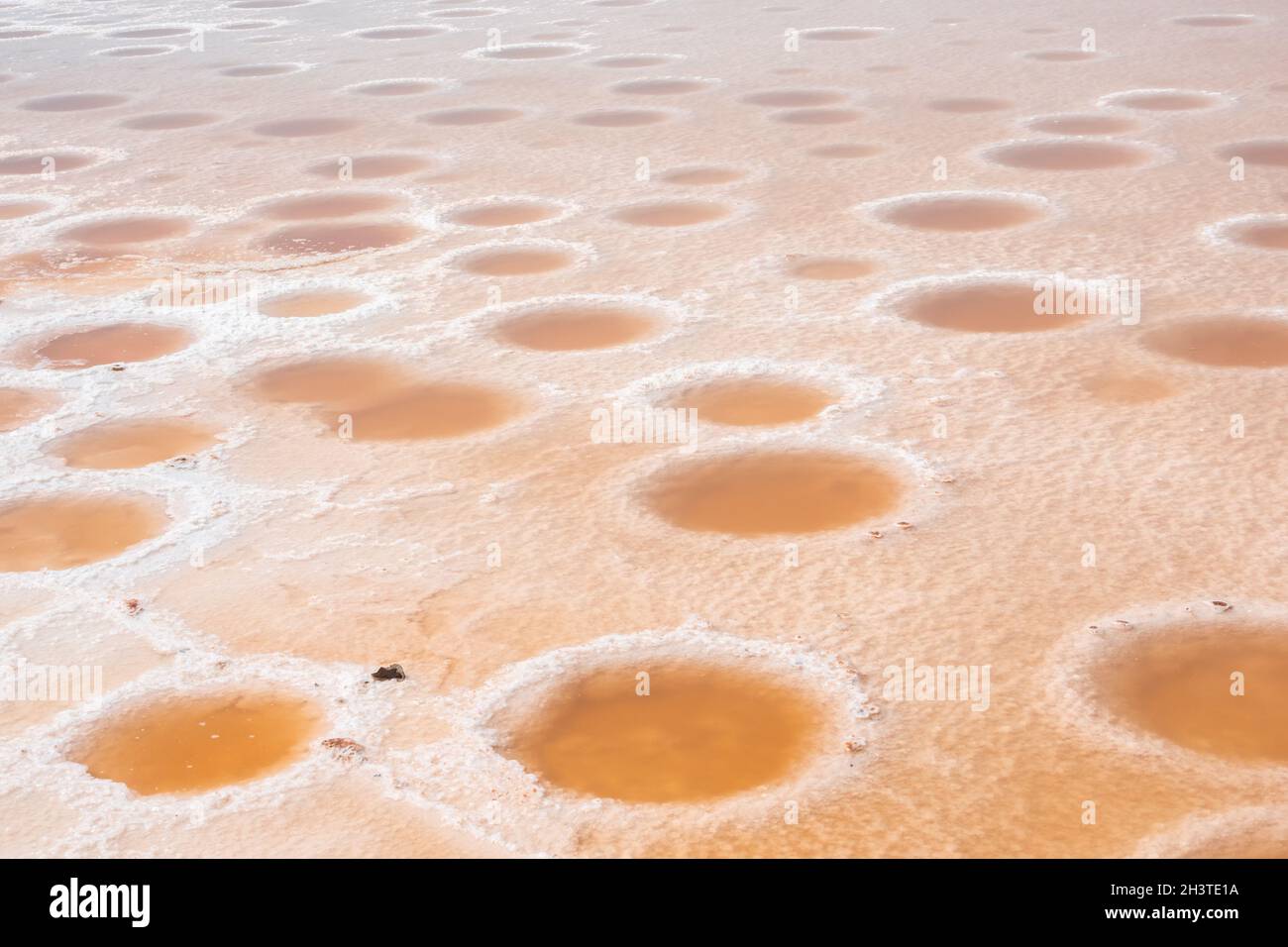 Abstract texture dry land Stock Photo - Alamy
