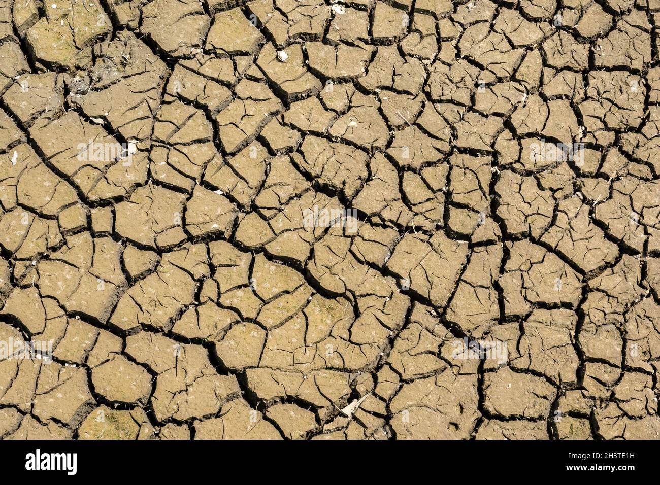Dried crack land Stock Photo - Alamy