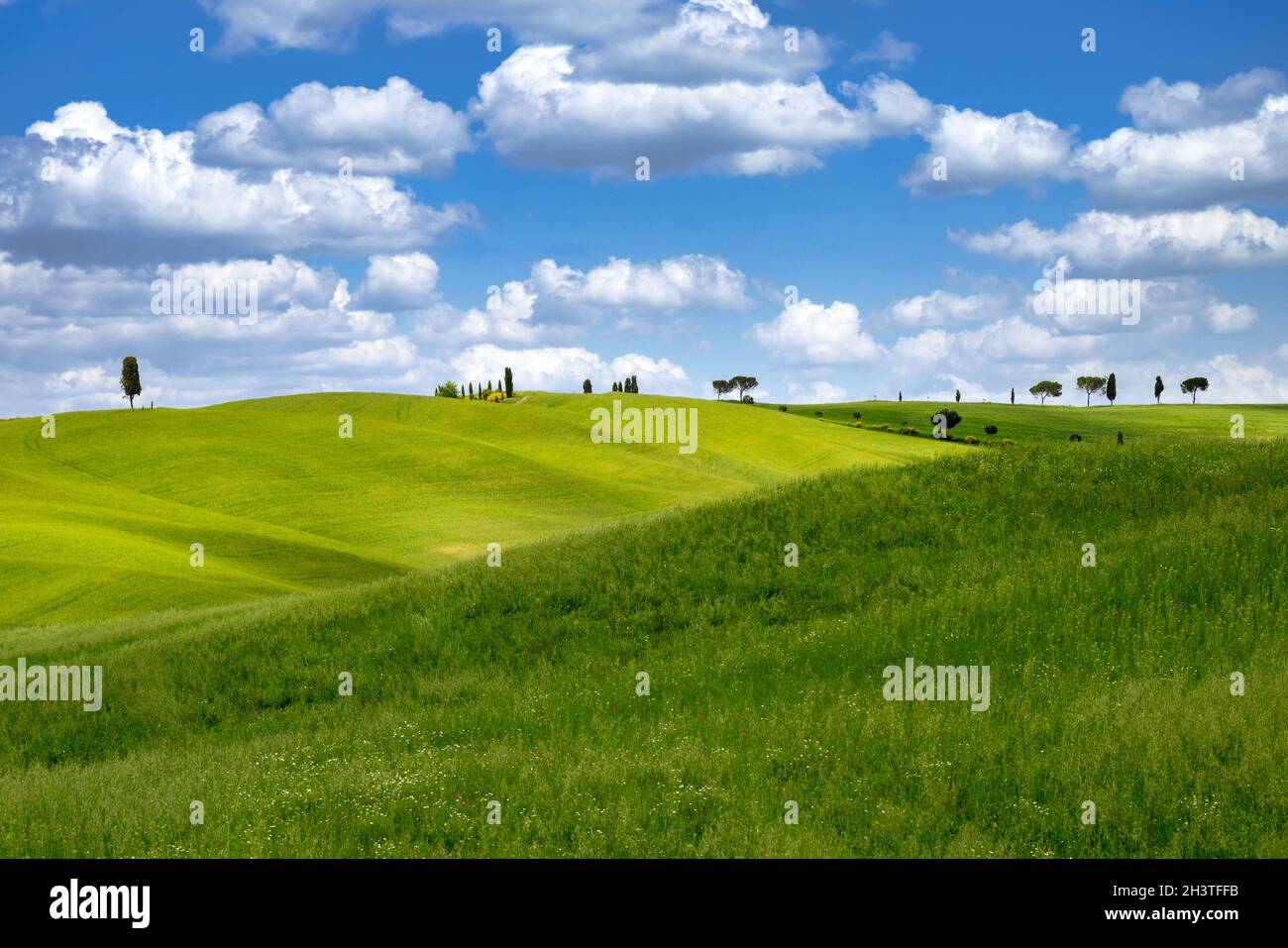 Italian countryside scenery view hi-res stock photography and images ...