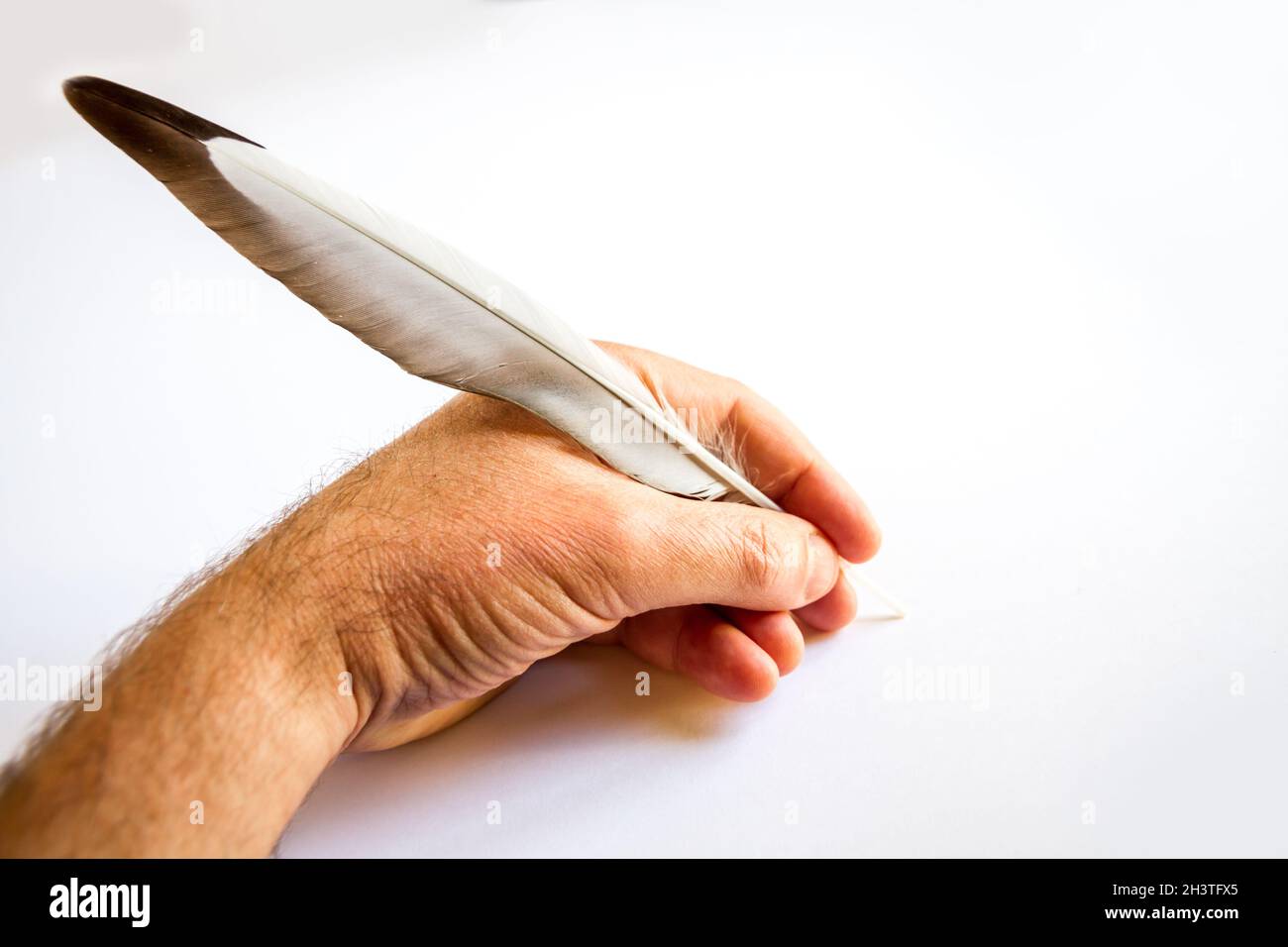 Hand writing with a bird feather Stock Photo - Alamy