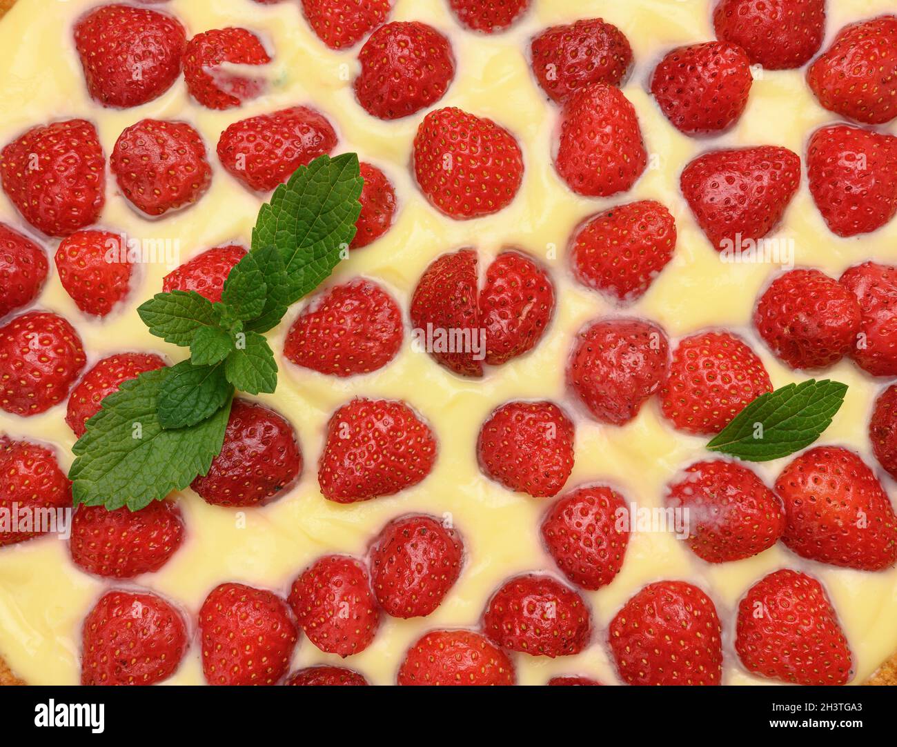 Cake texture hi-res stock photography and images - Alamy