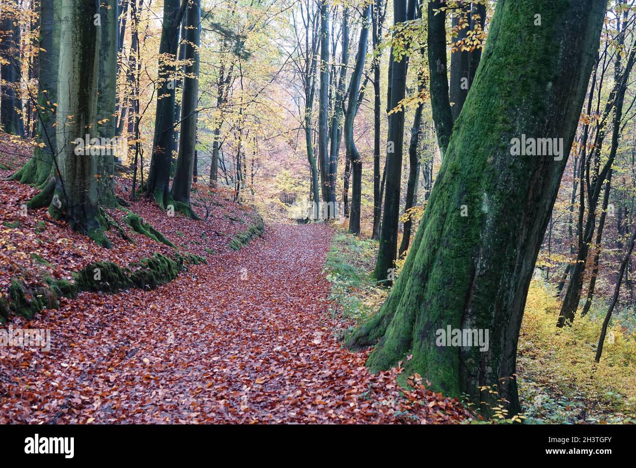 Spessart mountains hi-res stock photography and images - Alamy