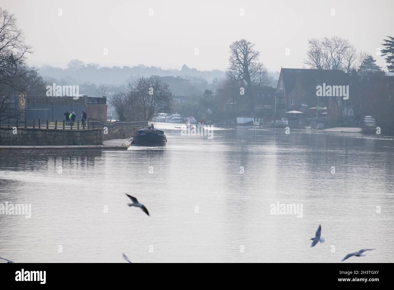 Rowing boats hampton court bridge hi-res stock photography and images ...