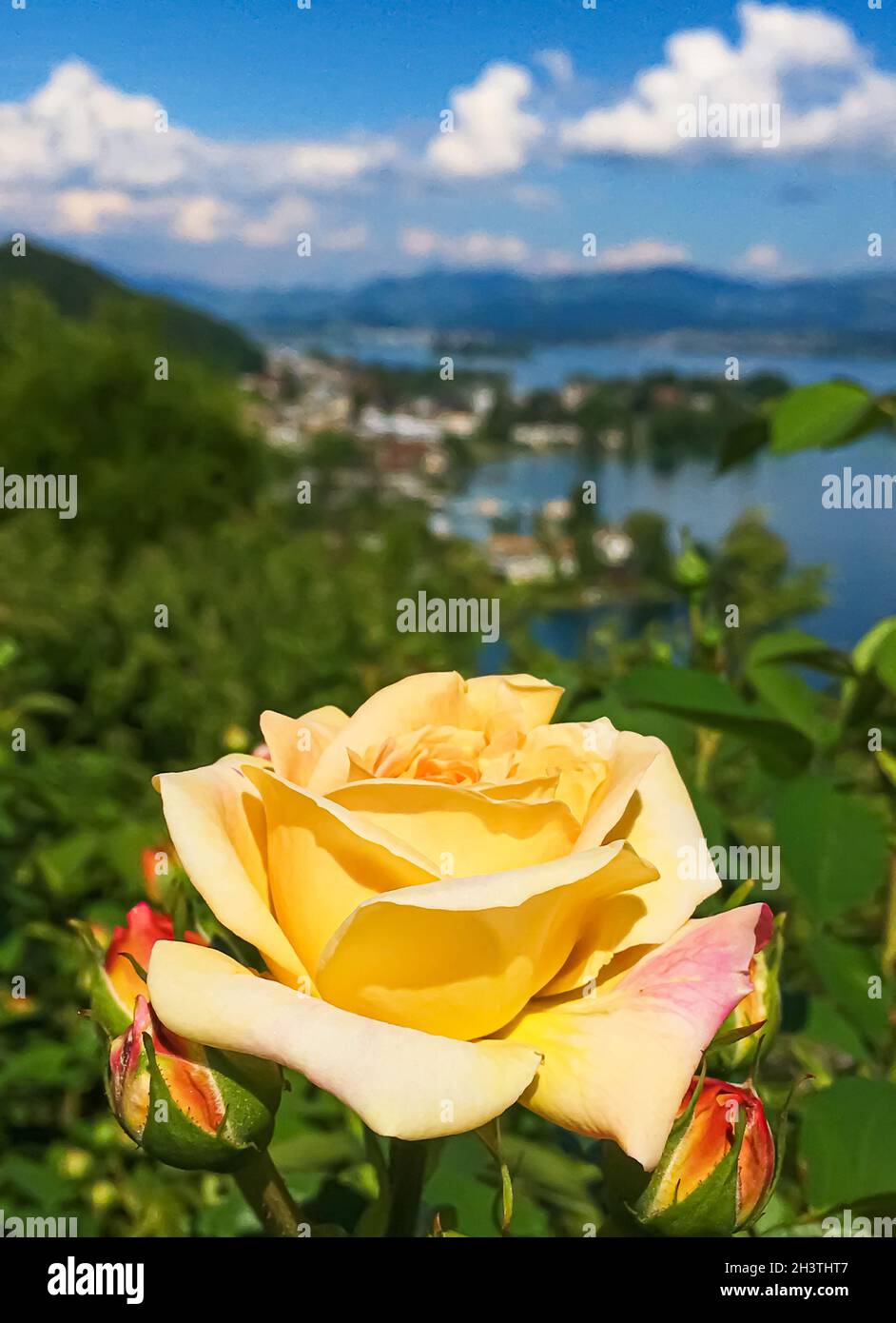 Wollerau hi-res stock photography and images - Alamy