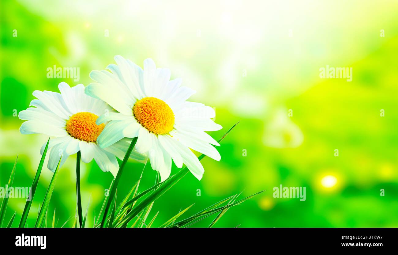 Medical scenery hi-res stock photography and images - Alamy