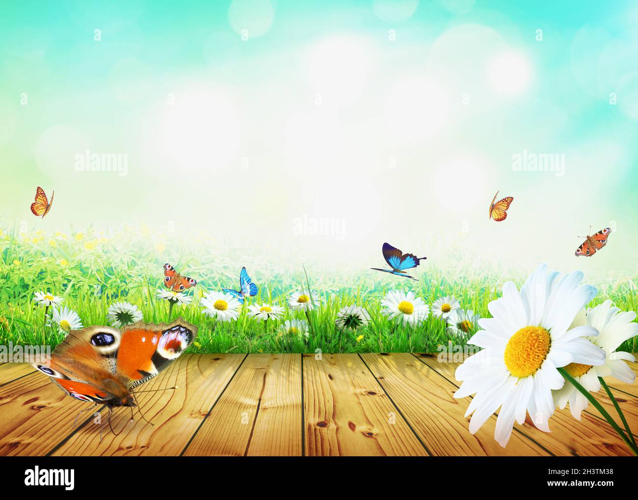 Wooden garden butterfly hi-res stock photography and images - Alamy