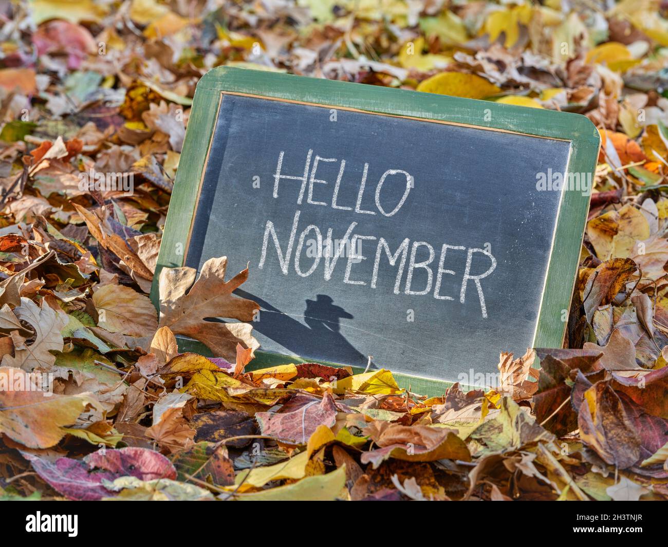 Hello November greeting card - white chalk text on a retro slate ...