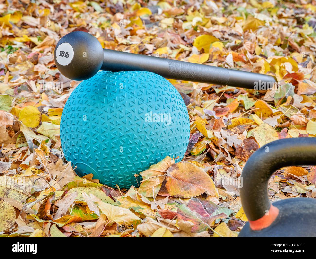 steel mace, slam ball and kettlebell in a backyard covered by colorful ...