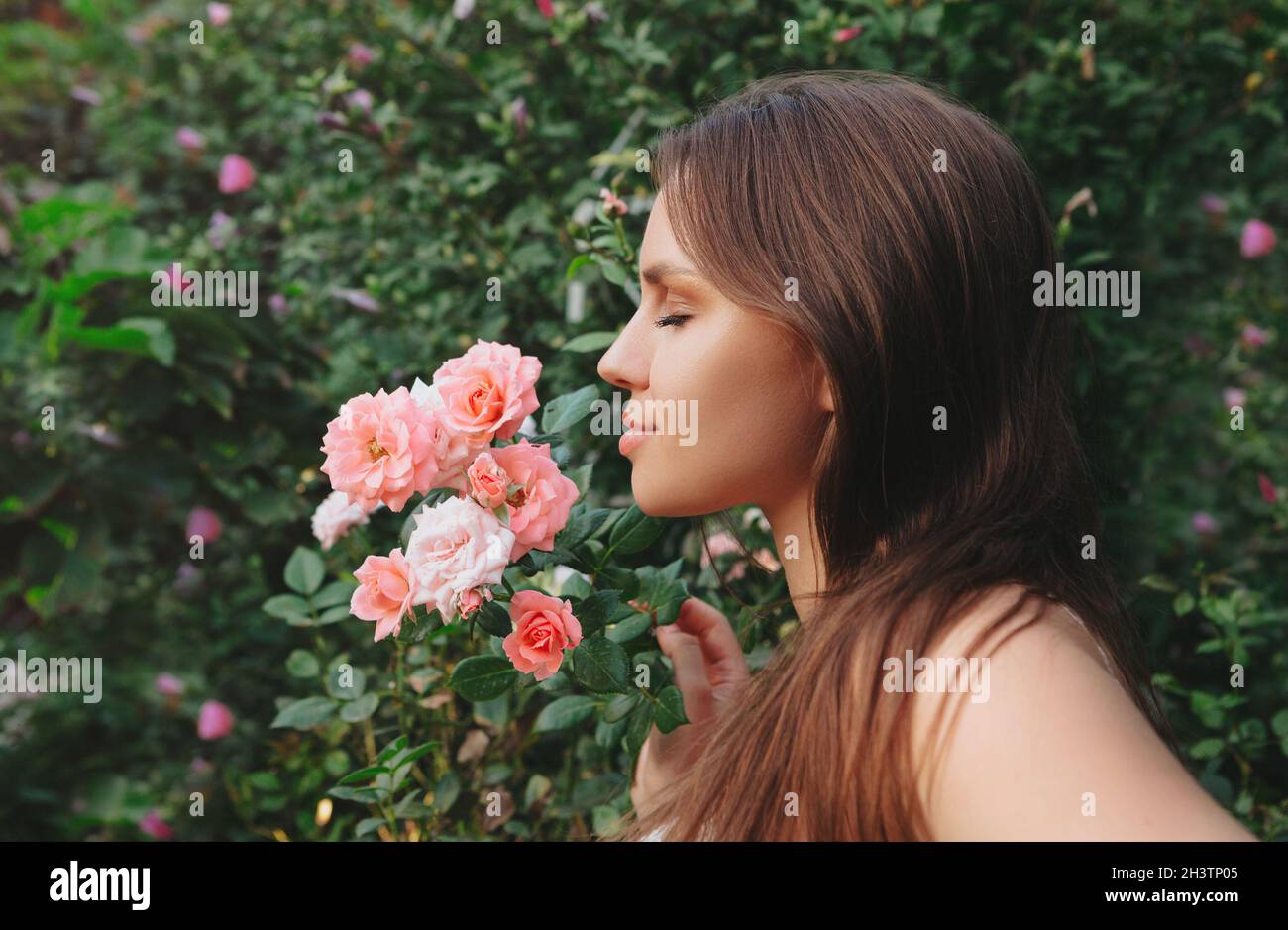 Woman smelling red roses hi-res stock photography and images - Alamy
