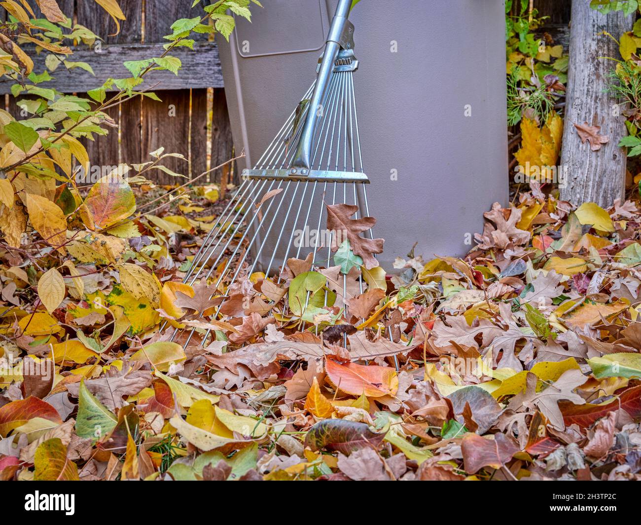 Adjustable rake hi-res stock photography and images - Alamy