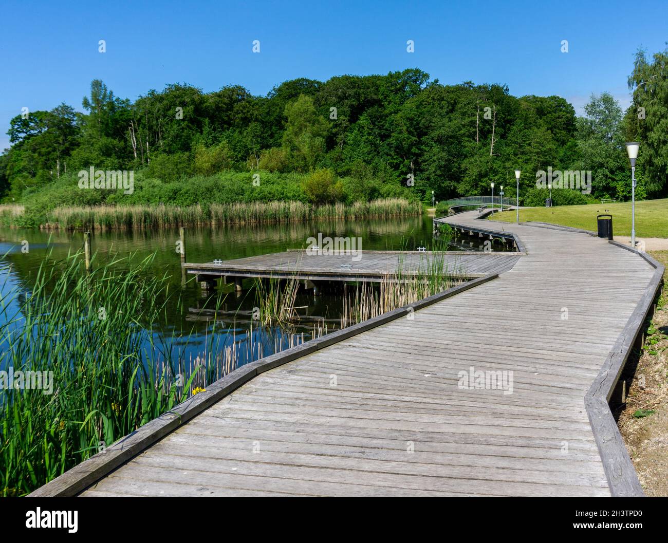 Wooden boardwalk leads along the shores of a calm blue lake with a ...