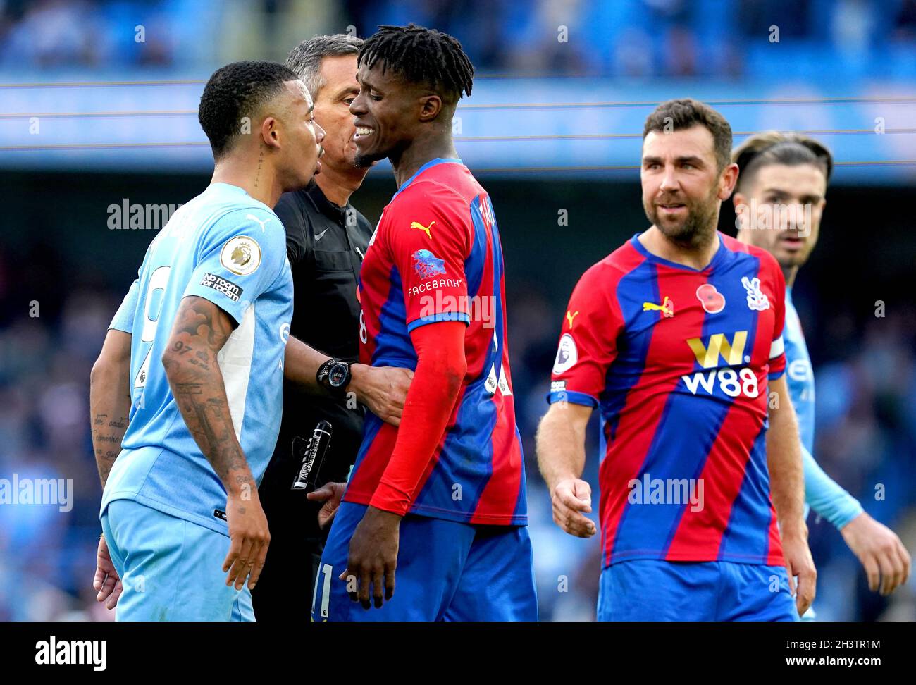 Wilfried Zaha Blonde