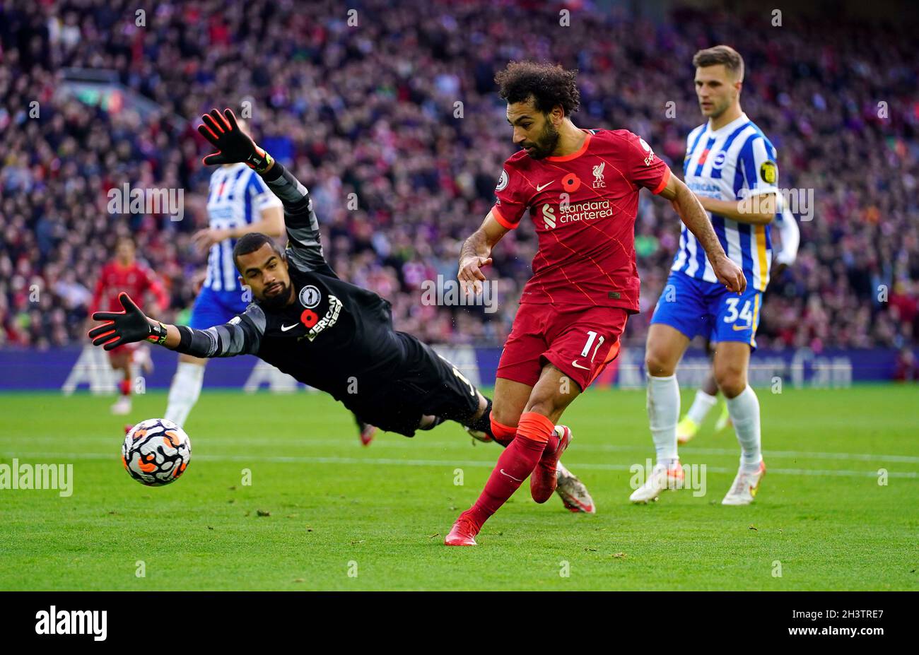 Brighton and hove albion liverpool 2021 hi-res stock photography and ...