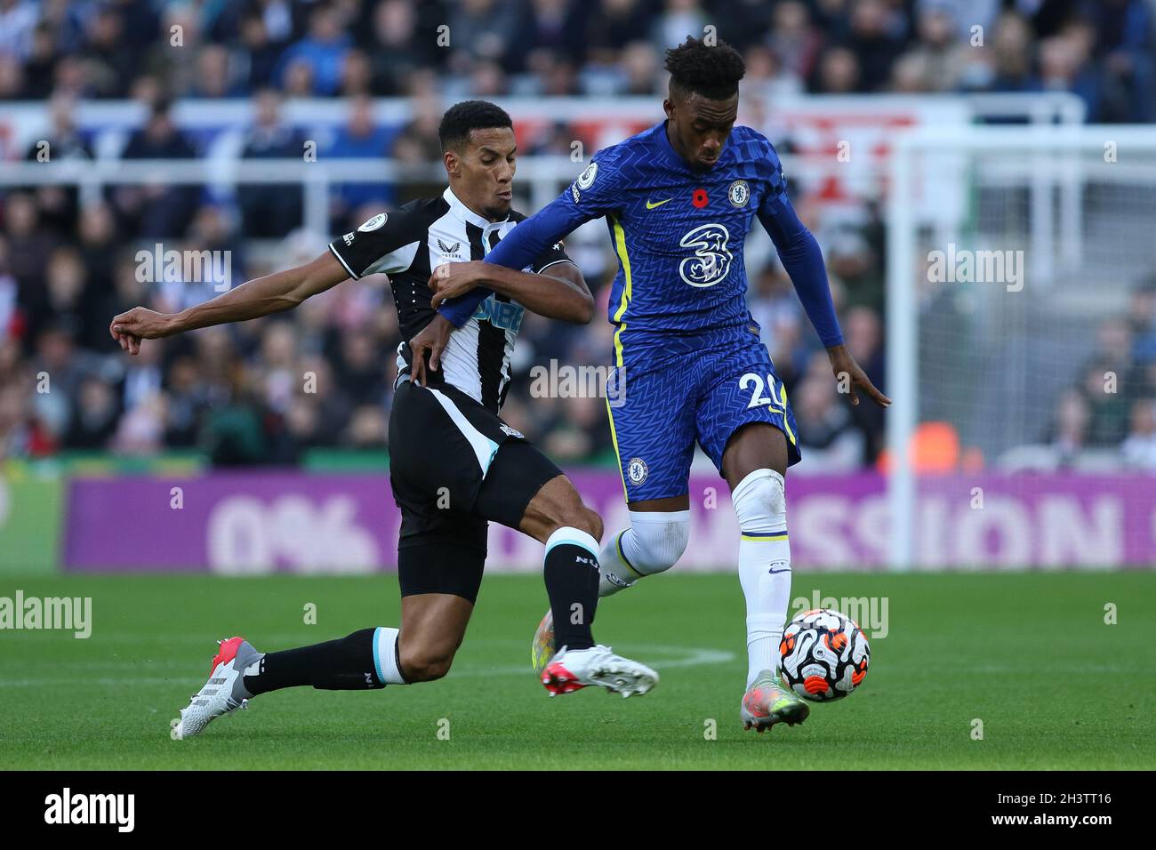 Hayden matthews hi-res stock photography and images - Alamy