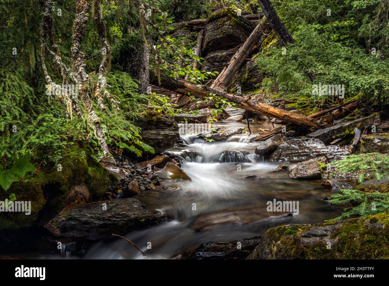 Dark and damp hi-res stock photography and images - Alamy