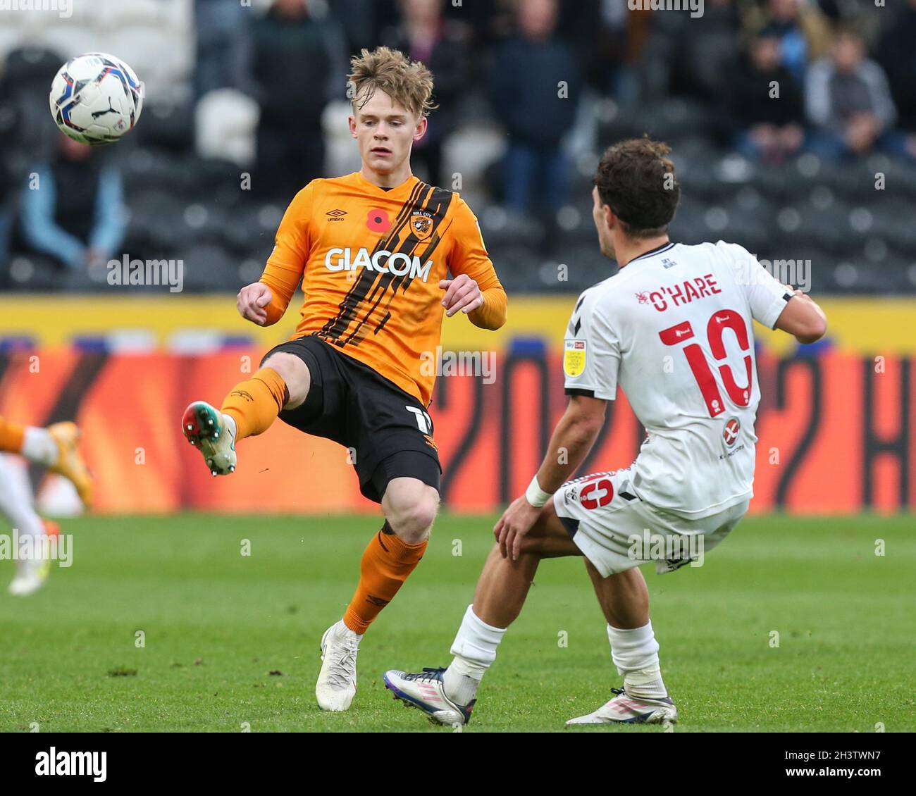 David ohare hi-res stock photography and images - Alamy