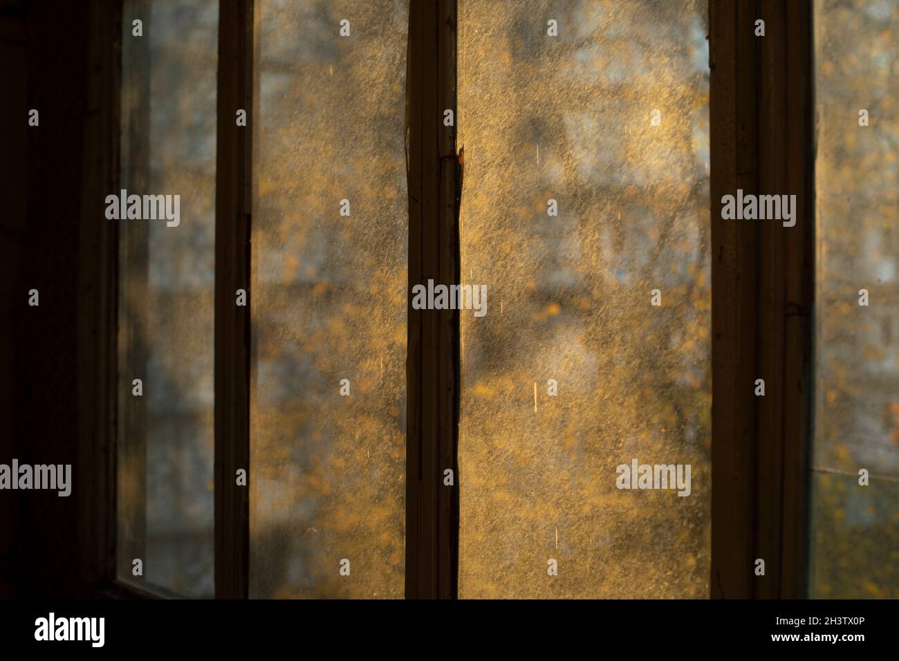 Dirty windows. Glass covered with pollen. Morning light on cloudy glass ...