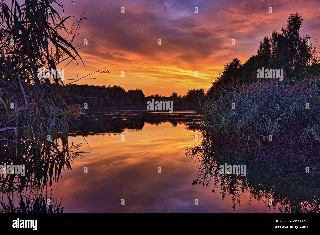 Sunset at the forest lake Stock Photo - Alamy