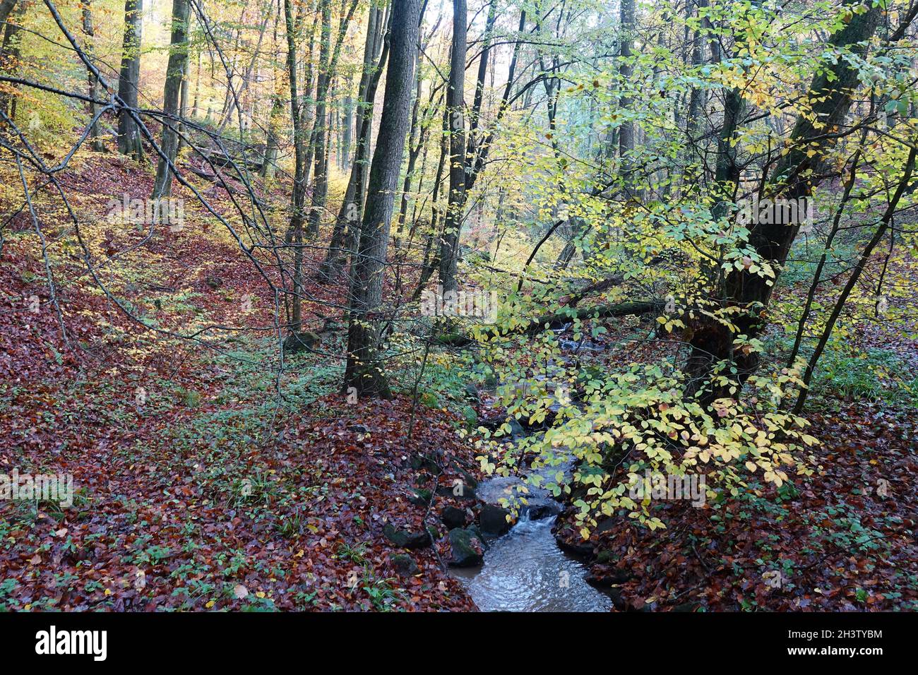 Spessart mountains hi-res stock photography and images - Alamy