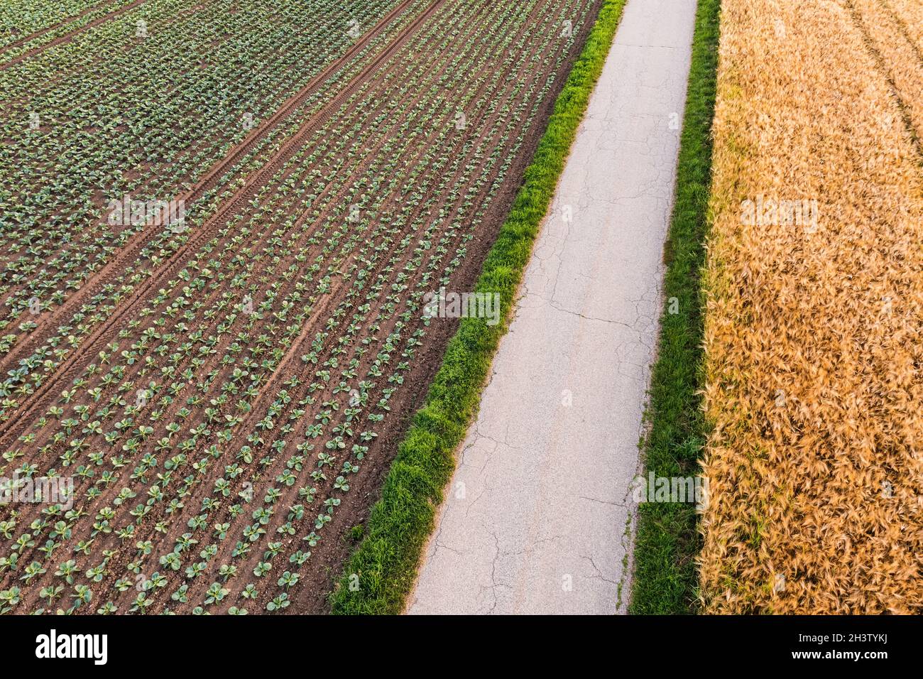 Aerial view furrows row hi-res stock photography and images - Alamy