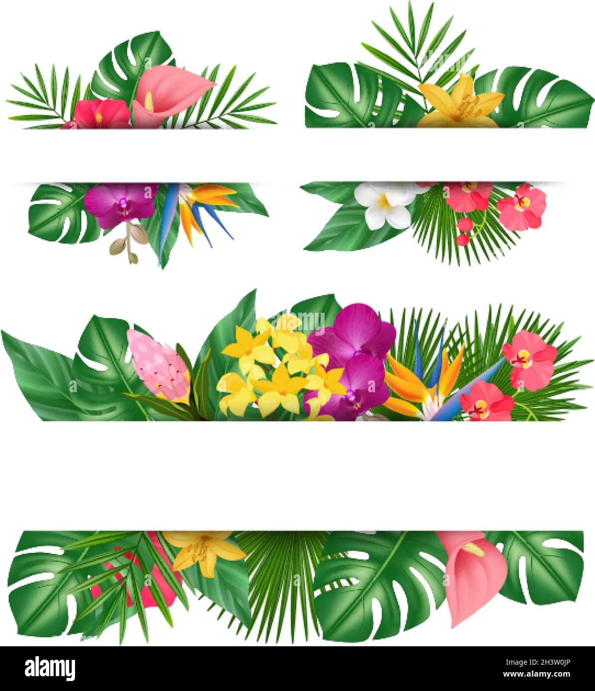 Exotic flowers banner. Tropical leaves, jungle plants and flower blank ...