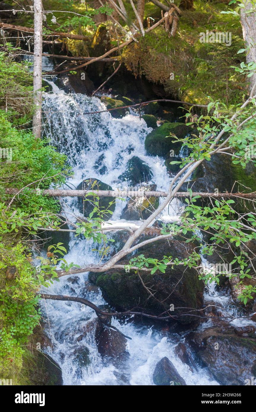 Wild brook in a small gorge in Austria Stock Photo - Alamy
