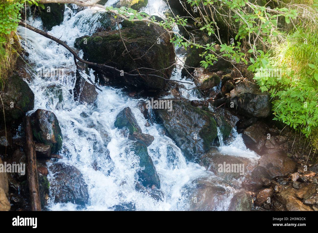 Wild brook in a small gorge in Austria Stock Photo - Alamy