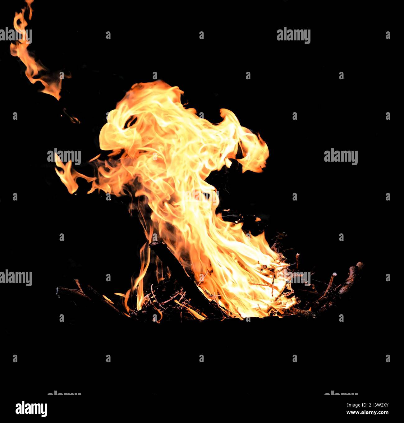 Burning firewood with a strong and high flame on a black background ...